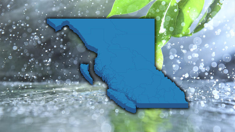 Beneficial rain on the way this weekend for parts of B.C.