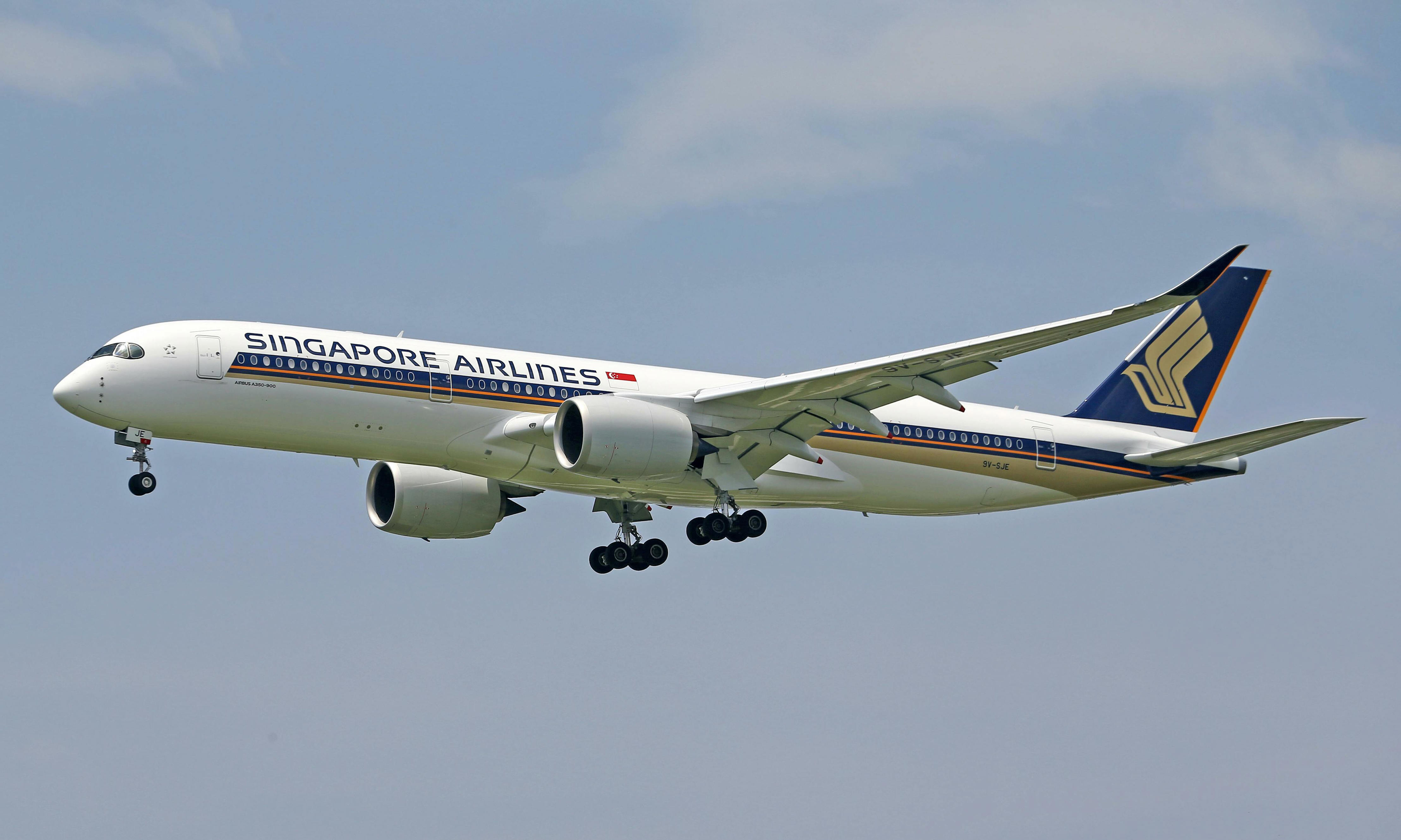 US doctor sues Singapore Airlines after suffering severe shrimp allergy ...