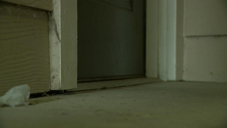 Family members of woman stabbed 35 times urge other domestic violence ...