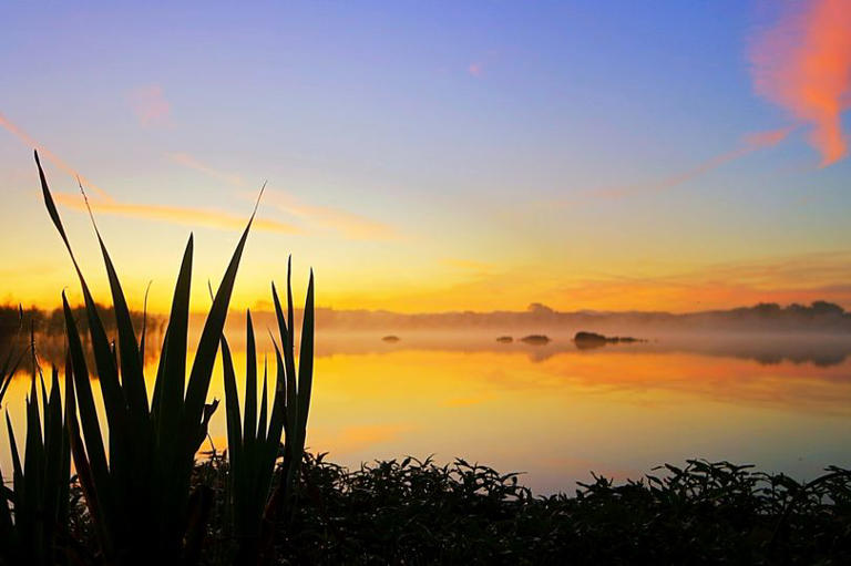 North Wales beach you can share with 'beautiful' toads from hidden gem lake