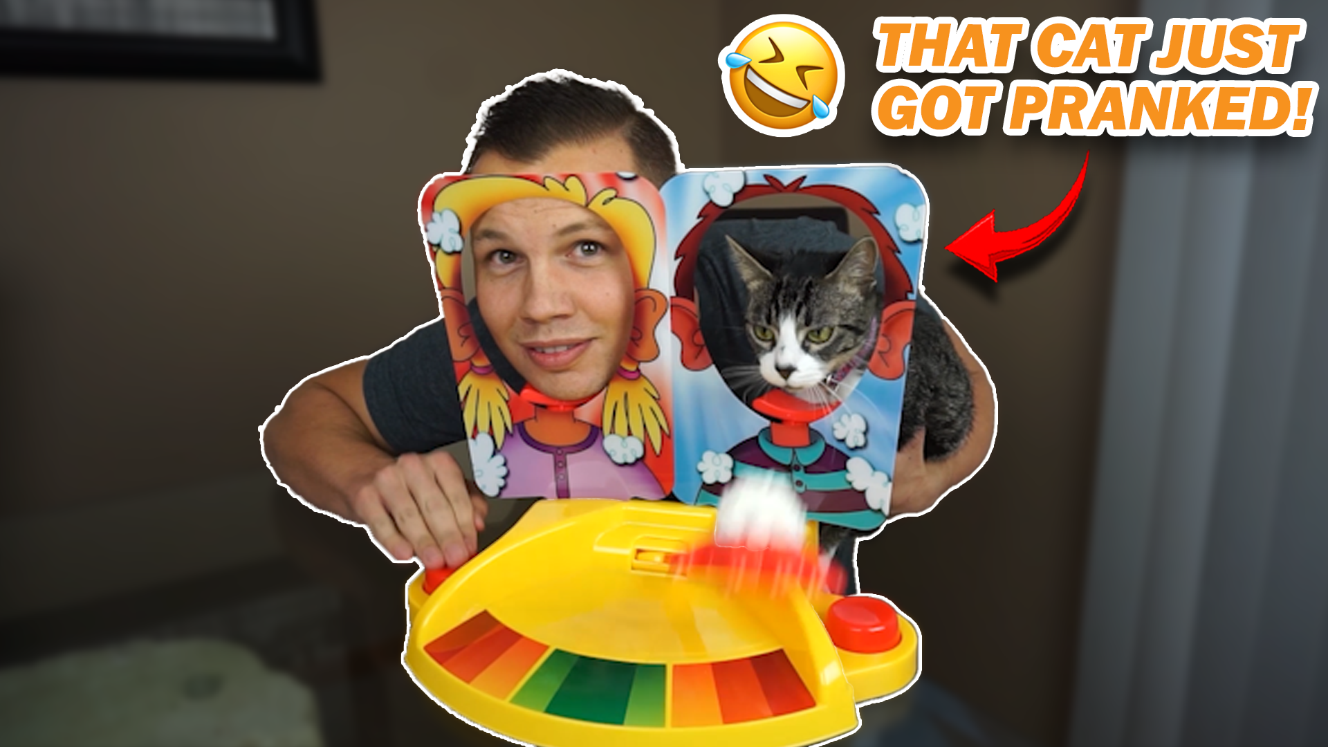 Grappigste Kat Ooit op Video – Je Moet Dit Zien! 😂🐱