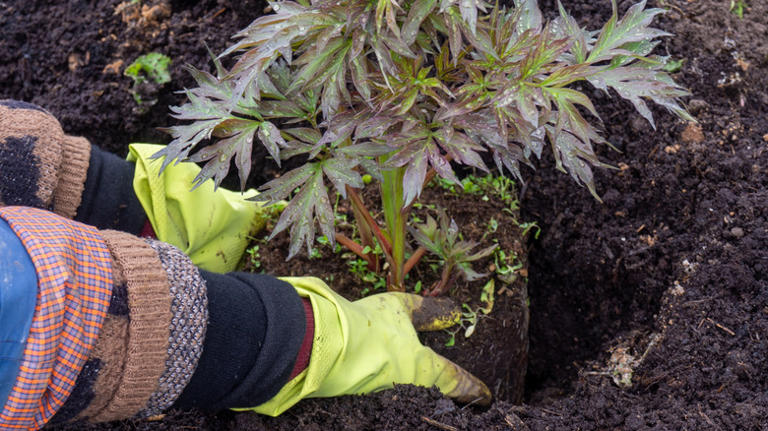 Why You Should Consider Loamy Soil For Your Garden