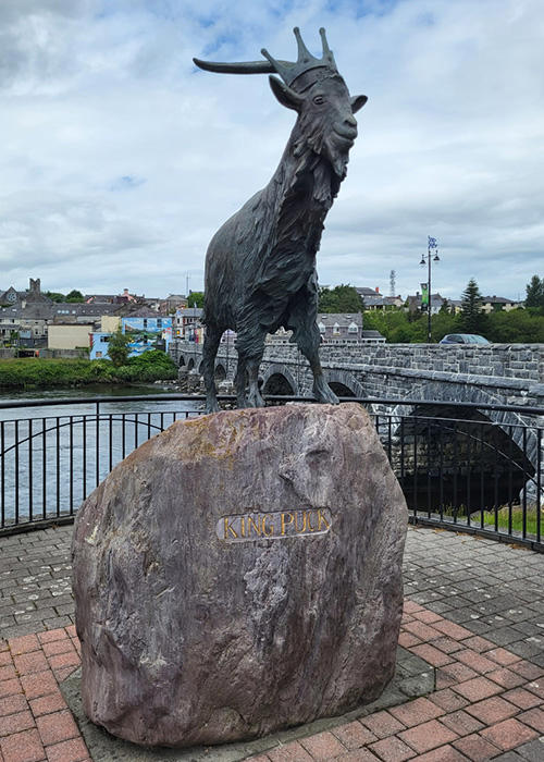 The Weekend Run with Liam Gaskin — A gem in the Kingdom’s crown and Pat ...