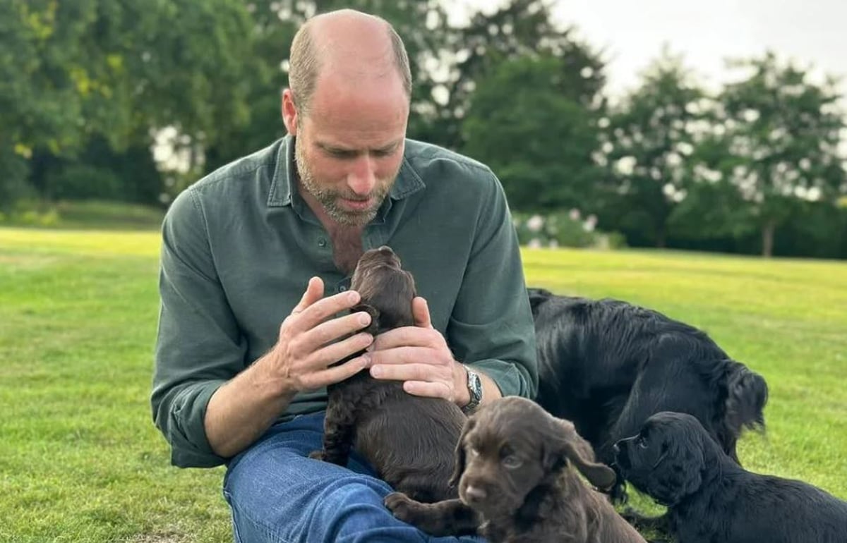 Princess Kate shares adorable photo of Prince William with four puppies ...