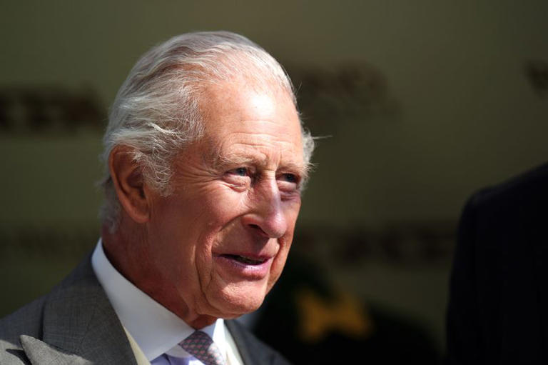 King Charles shows true feelings over Royal Ascot after suffering ...