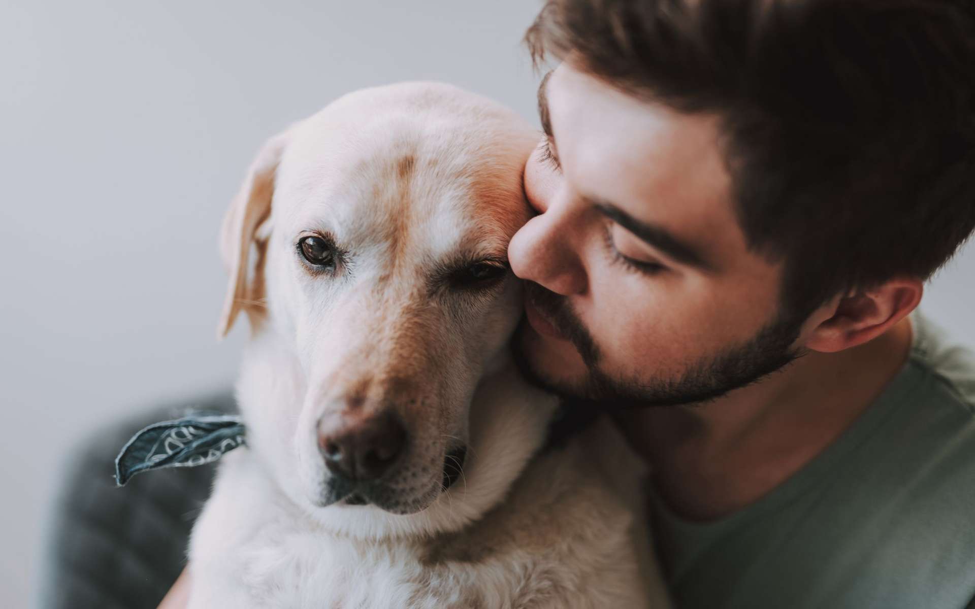 Quand et comment envisager l’euthanasie de son chien