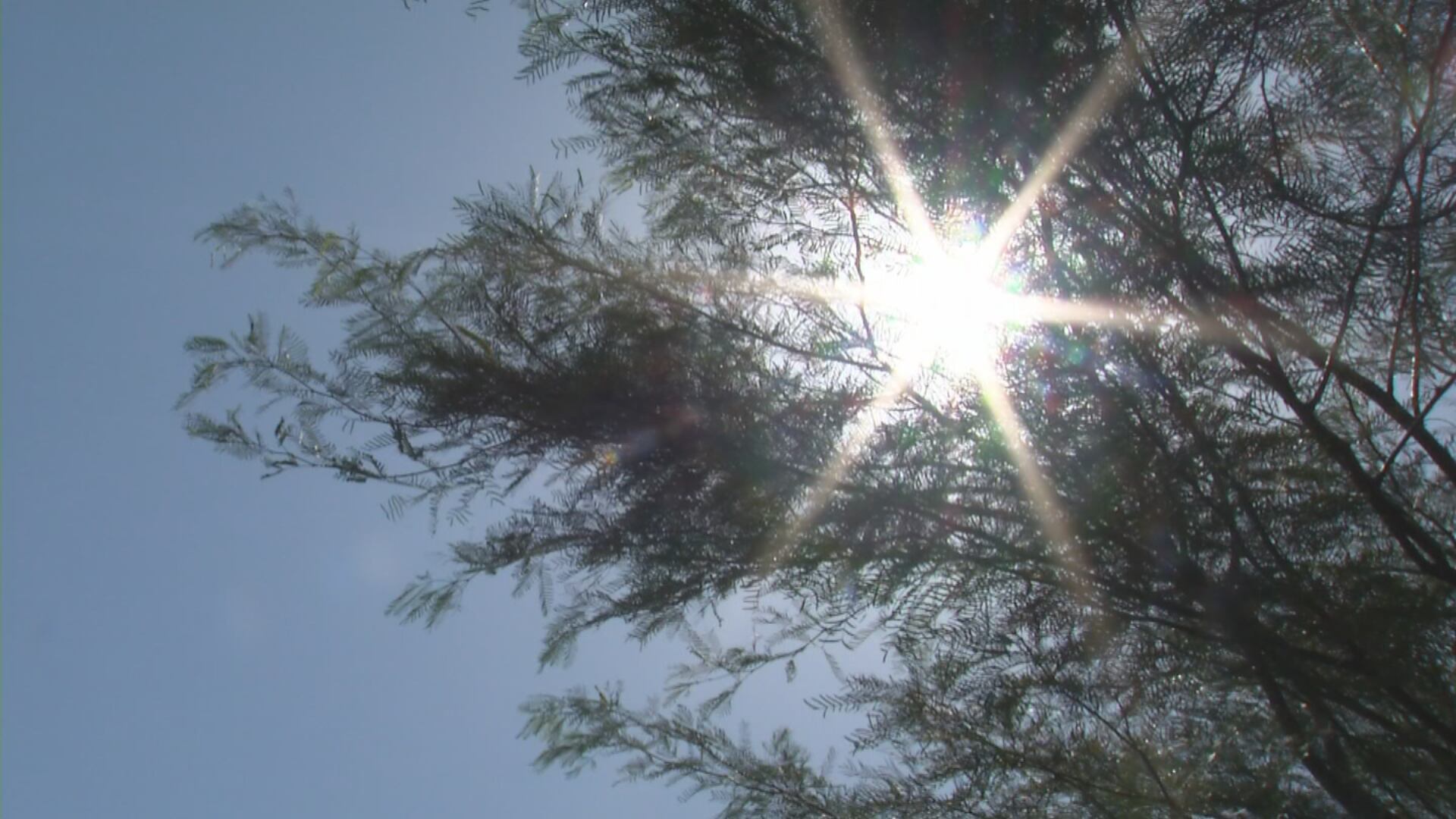 LIST: Tri-State cooling shelters for June 2025 extreme heat wave