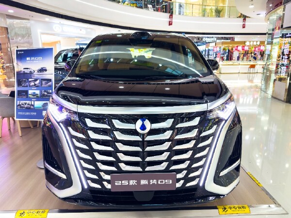 江苏扬州：科技豪华全能旗舰MPV-25款腾势D9