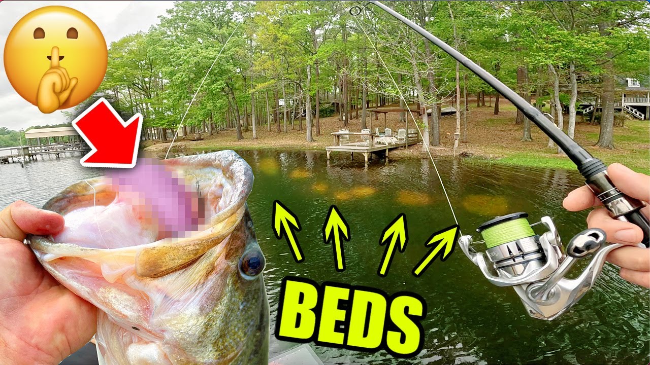 Secret lure outscores every other bed fishing bait