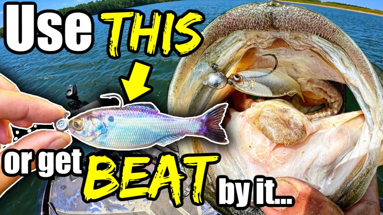 Top bass fishing techniques pros don't want you to know
