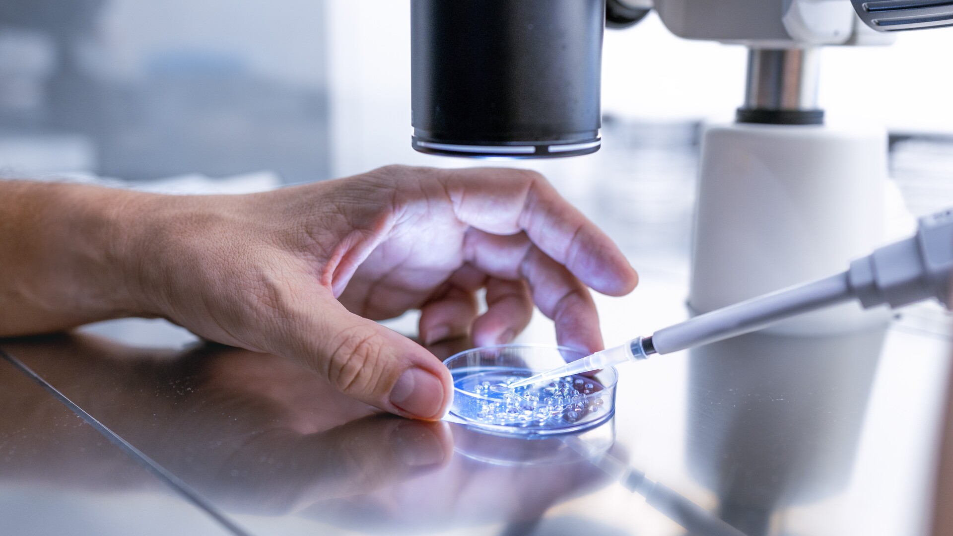 Forensic Science Queensland Director suspended after contamination ...