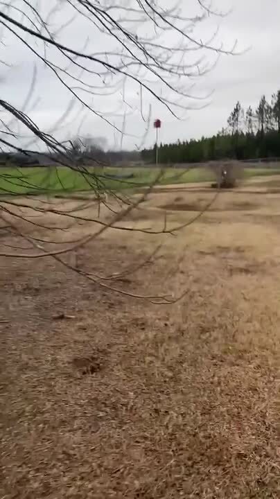 Screaming Goat Has Head Stuck in Container
