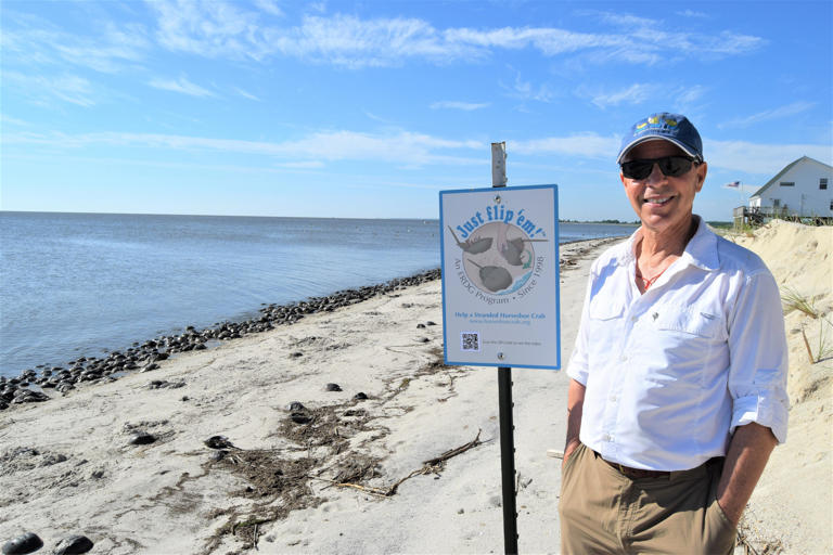 Have you been to these 3 'hidden gem' beaches in Delaware? See which ...