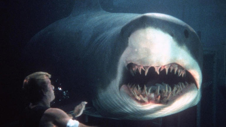The Best Shark Movies That Aren't Jaws Have One Key Thing In Common