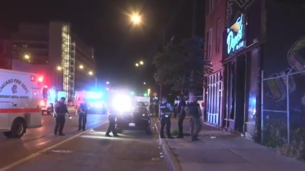 2 killed, 1 wounded in Near West Side shooting, police say