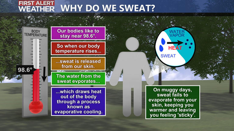 As CSRA’s temps soar, these hot-weather tips may save your life