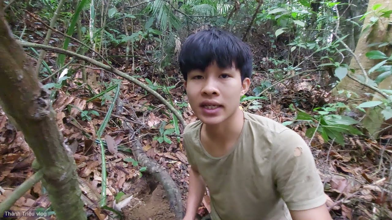 Building a new life - live and build life in the forest