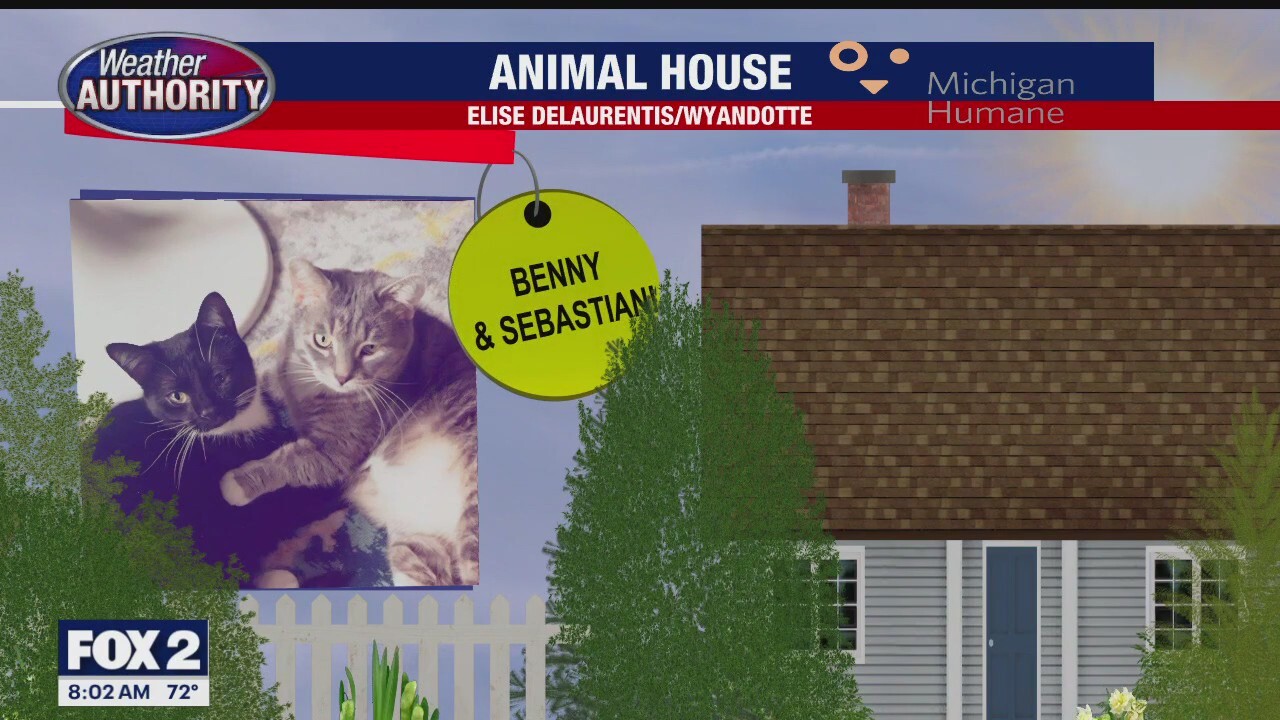 Welcome Benny, Sebastian, Harvey, Sprocket