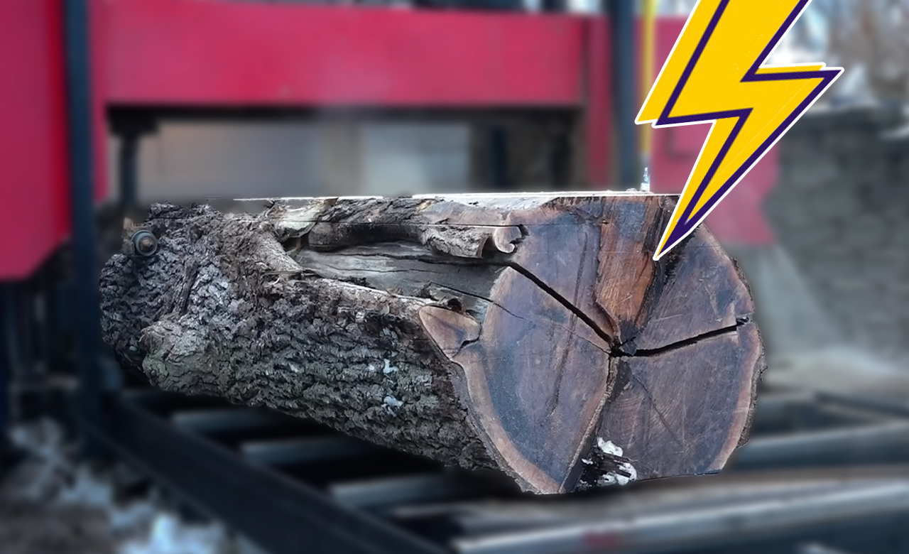What Does Lightning do to the Inside of a Tree? ⚡️🌳