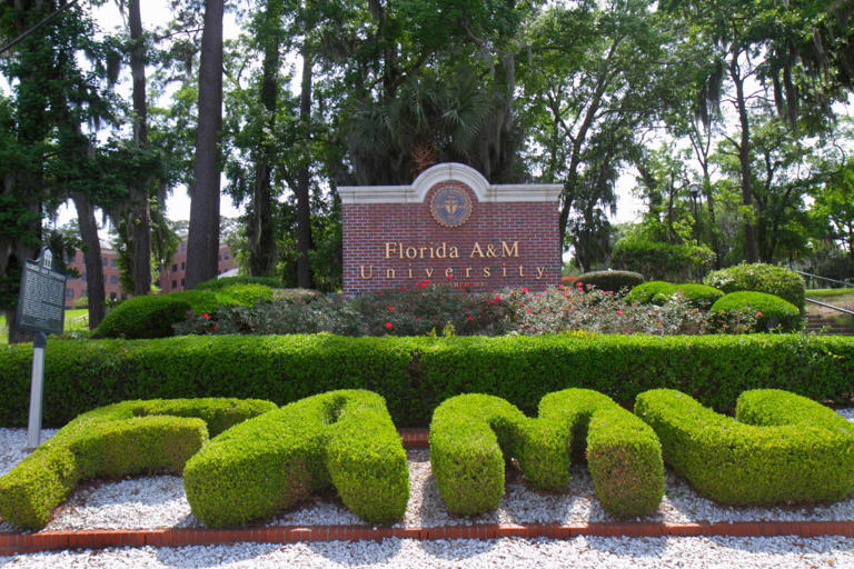 FAMU Board Of Trustees Points To Chair And Leadership Issues In New ...