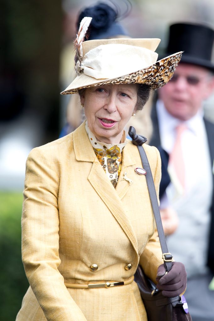 Princess Anne's '80s Trooping the Colour outfit was so modern - she ...
