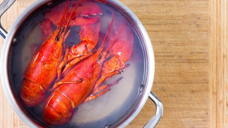 14 Best Tips For Removing Lobster Meat From Its Shell