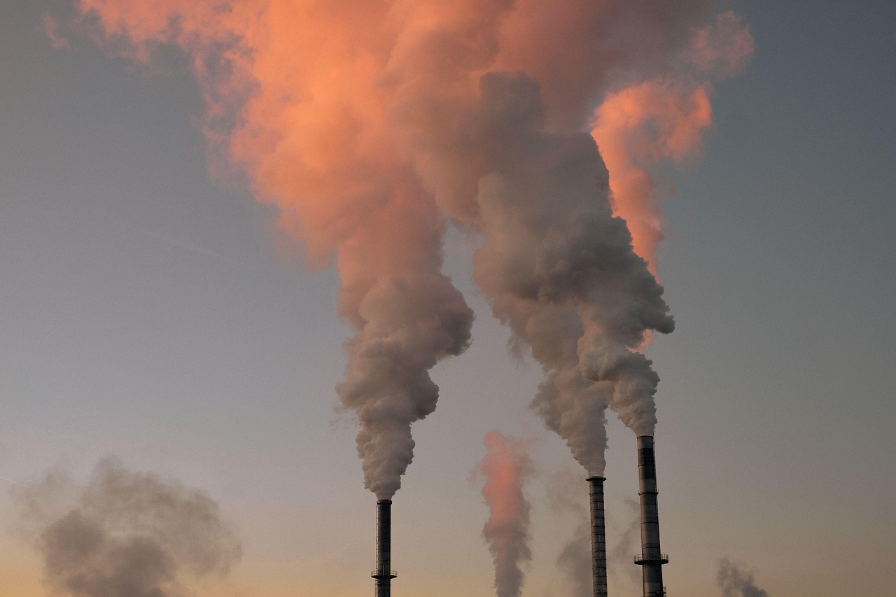 Recycled Paper Isn't Green—Here's the Hidden Cost