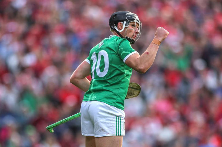 Limerick's Gearoid Hegarty is in relationship with another well-known ...