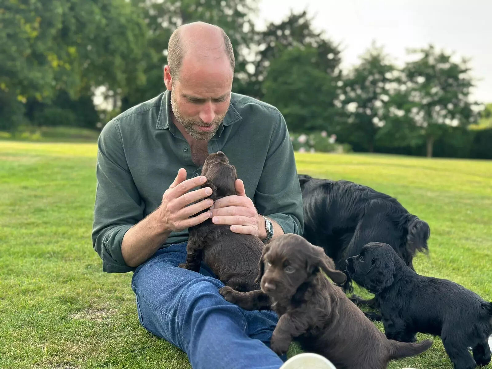 Prince William turns 43: Royals share new puppy photo for his birthday ...