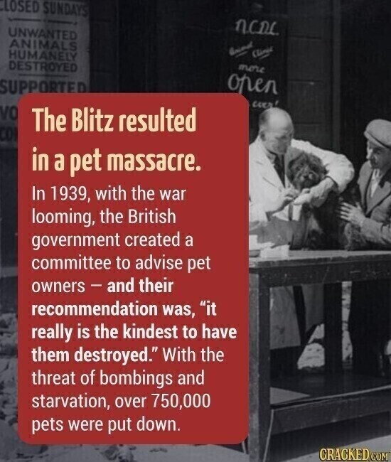 31 Scrumptious Bits of Trivia That We Know Your Brain Is Salivating For