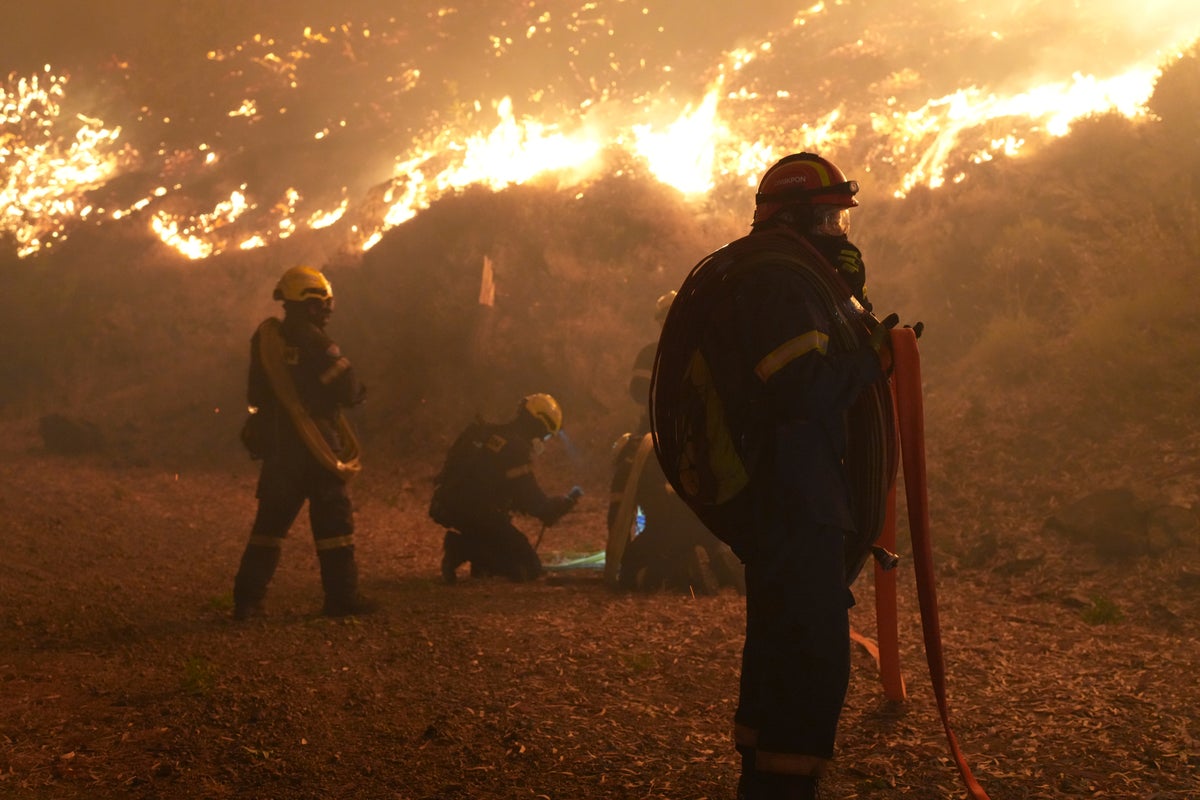 Europe heatwave latest: Extreme heat grips the continent as ...
