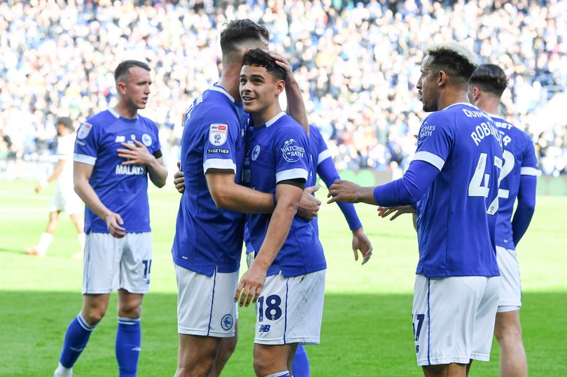 Barry-Murphy says Alex Robertson could play 'big part' in Cardiff City ...