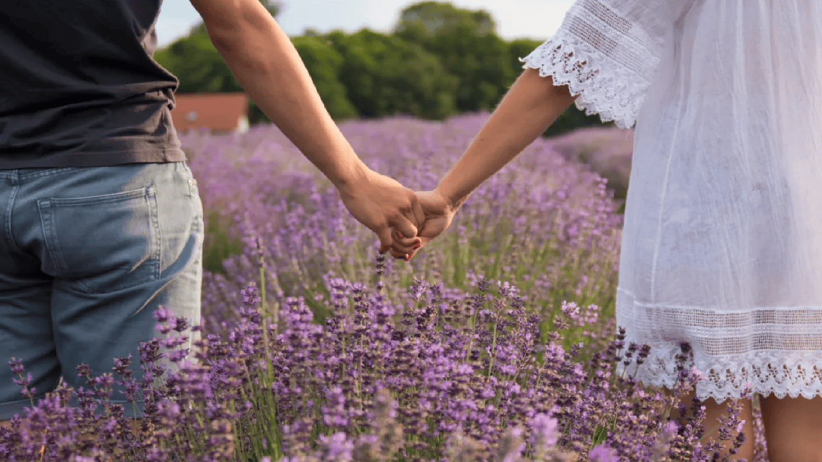 Unveiling the 'Lavender Marriage': A Hidden Reality Behind Closed Doors