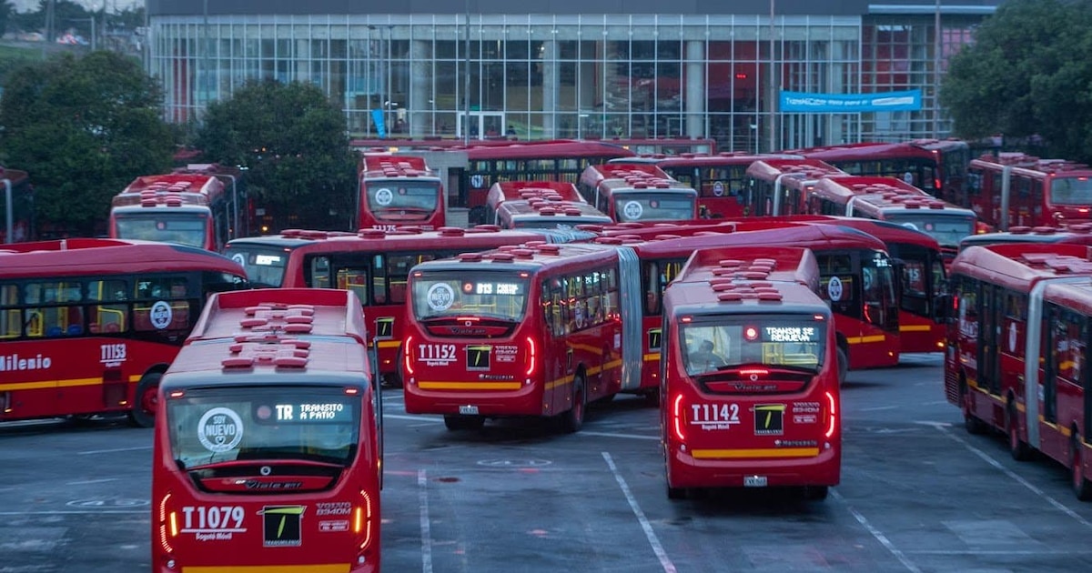 Bogotá renovará su movilidad con la llegada de 364 buses articulados ...