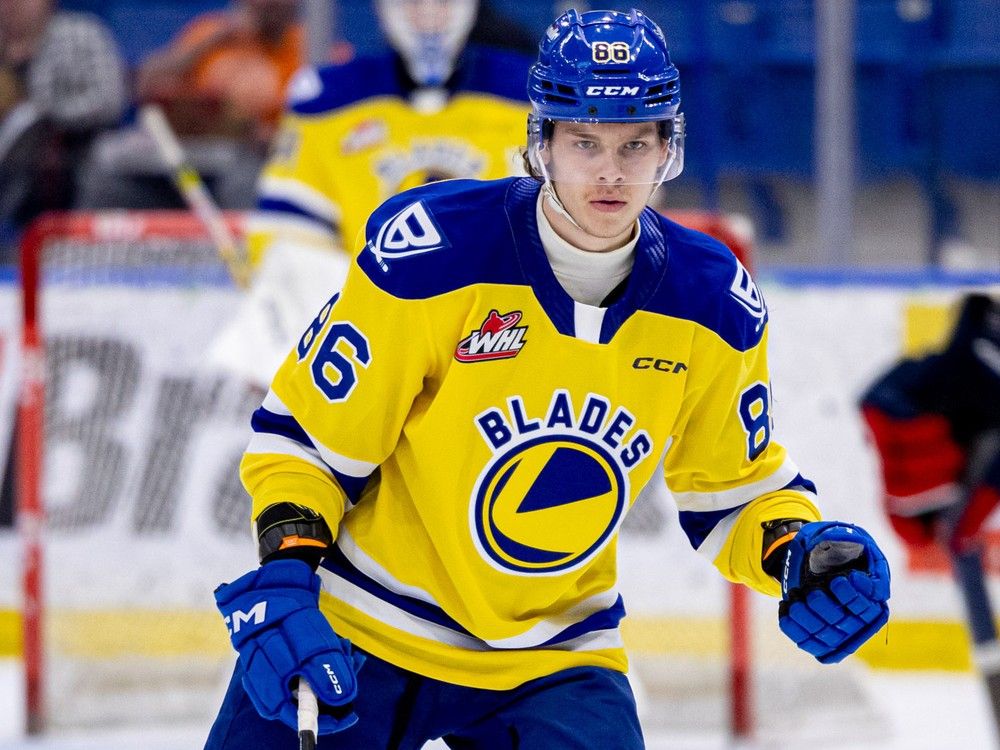NHL Draft: David Lewandowski stays back in Germany, watches draft remotely