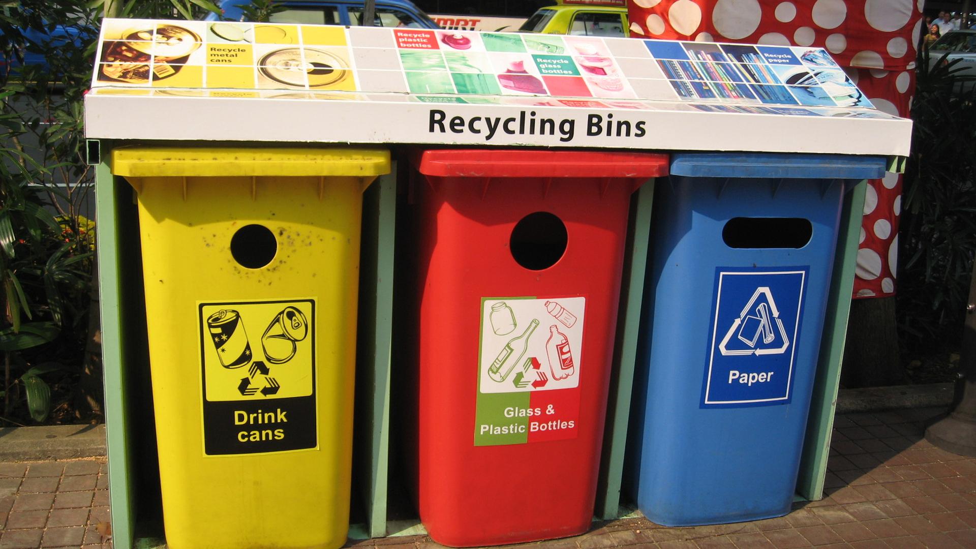I Followed All the Eco-Friendly Rules—And Still Felt Unsure
