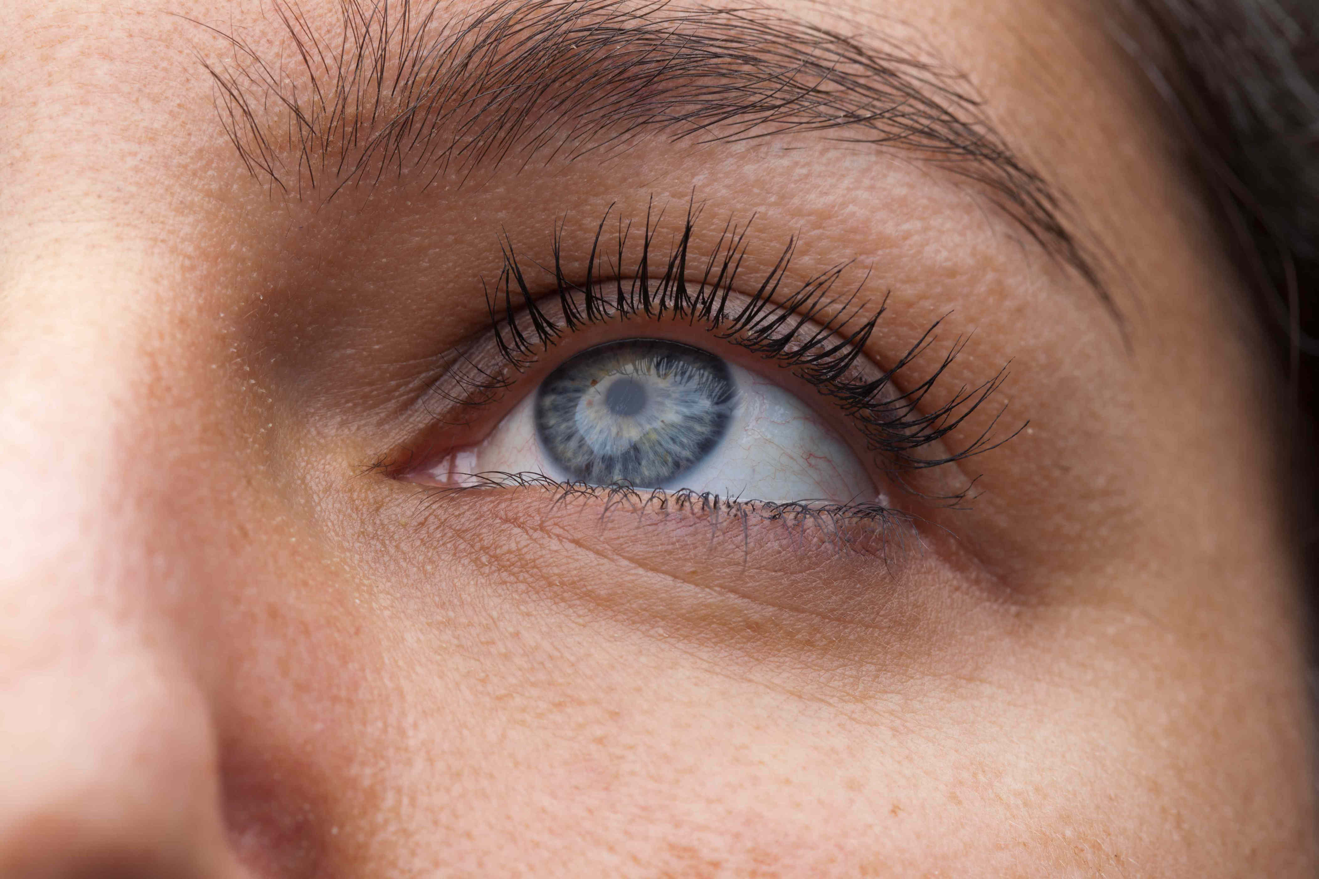 What Is Peripheral Vision and Why Is It So Important?