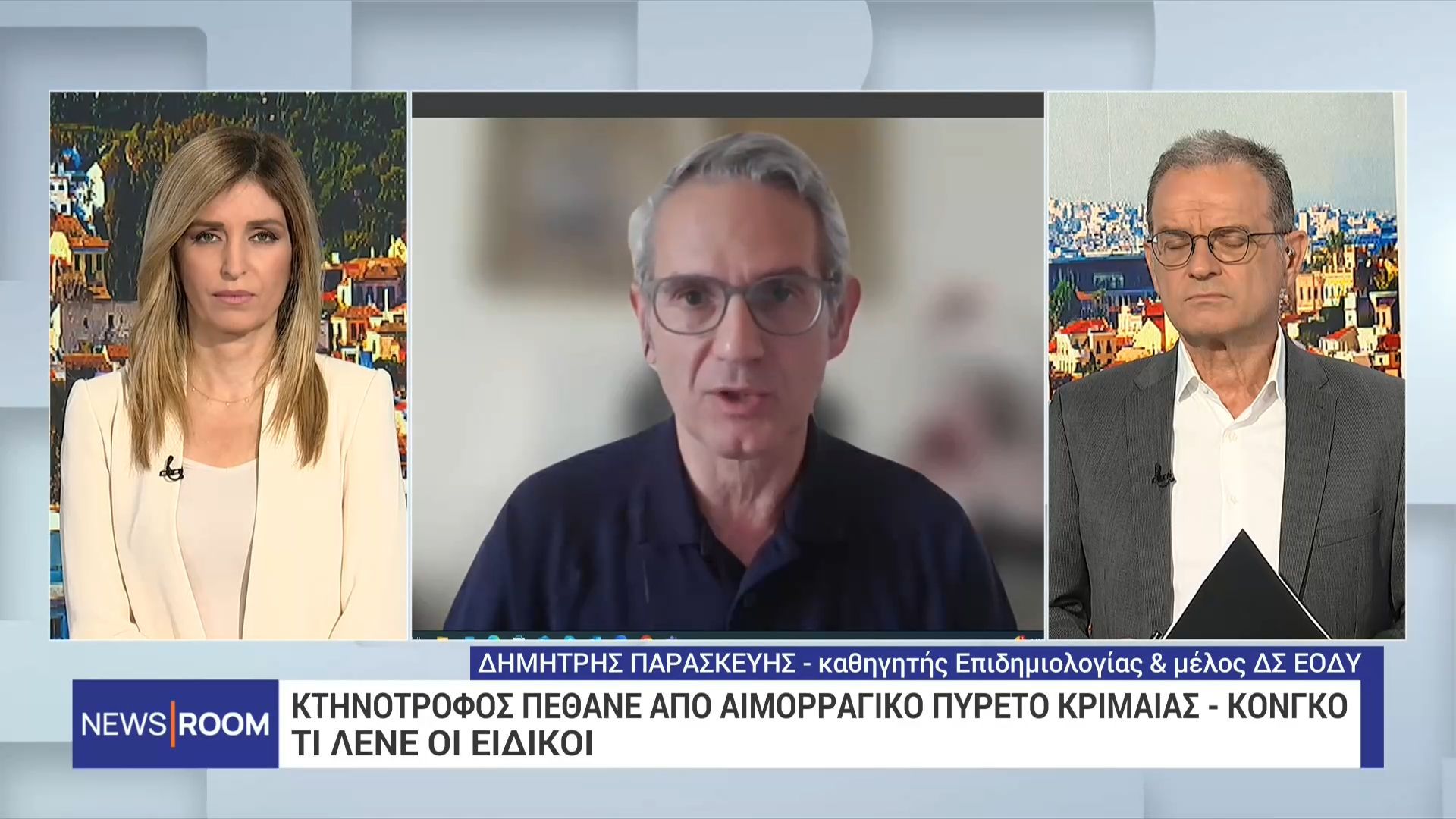 Ανησυχία για τον αιμορραγικό πυρετό: Ο επιδημιολόγος Δημ. Παρασκευής ...