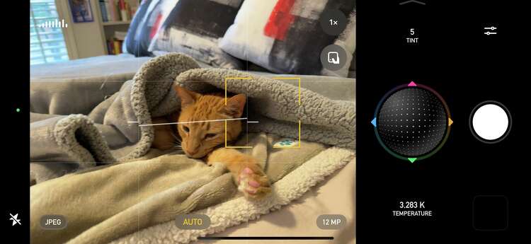 New iPhone camera apps offer AI features and fun alternatives to Apple ...