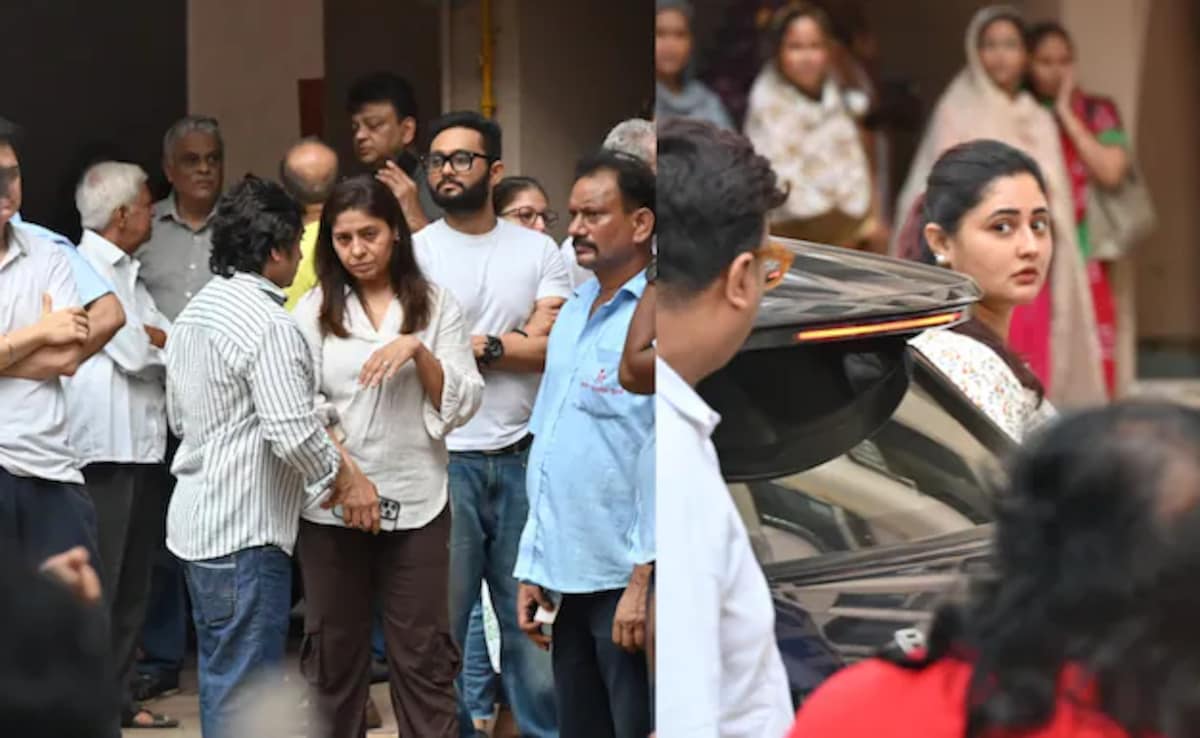 Shefali Jariwala Death: Shehnaaz Gill, Paras Chhabra, Sunidhi Chauhan ...