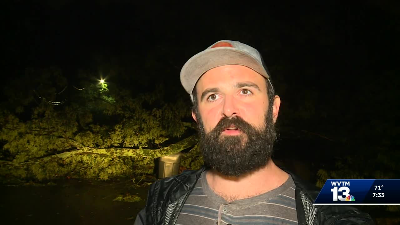 Massive tree narrowly misses hitting home during storm in Irondale