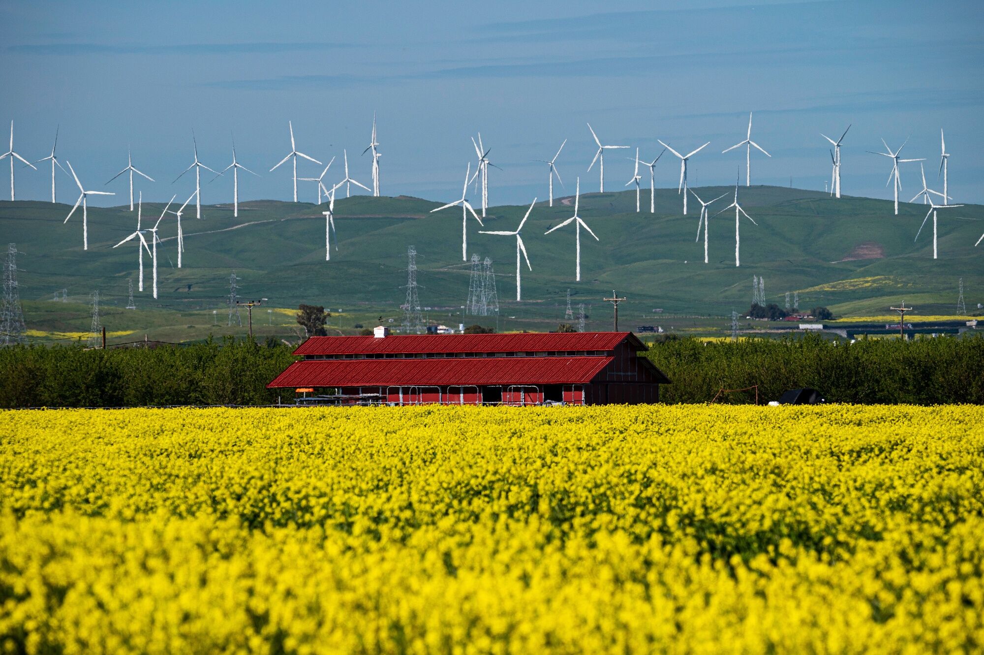 Wind, Solar Credits Face Shorter Phase-Out in New Tax Bill