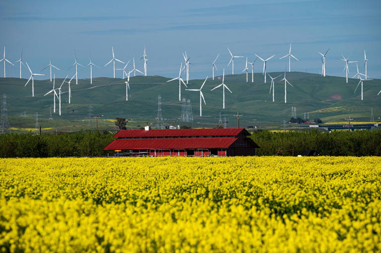 Wind, Solar Credits Face Shorter Phase-Out in New Tax Bill