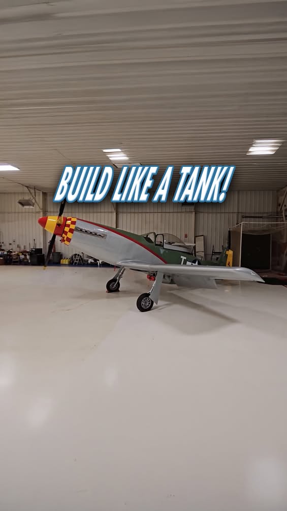 Insane Airplane Nest