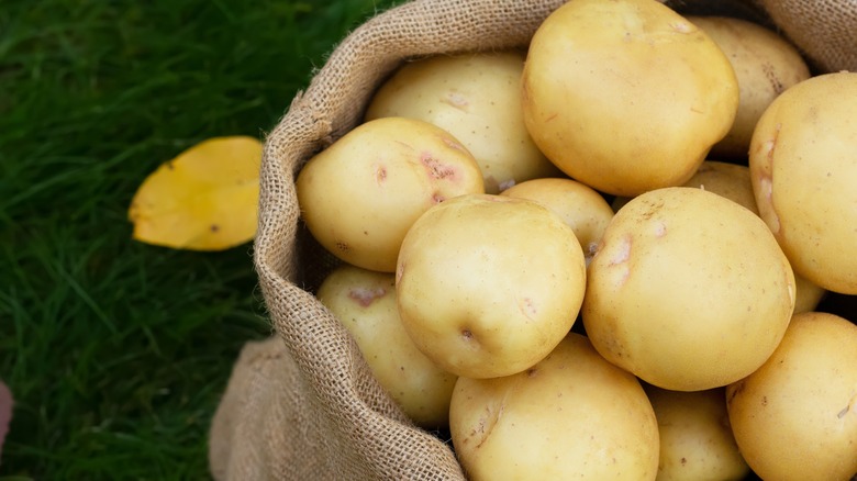7 Best Potatoes For Mashed Potatoes And The Ones You Should Avoid