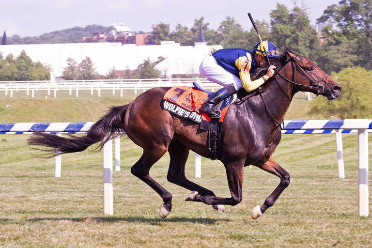 Wolfie’s Dynaghost Makes First Start For New Barn In River City Stakes