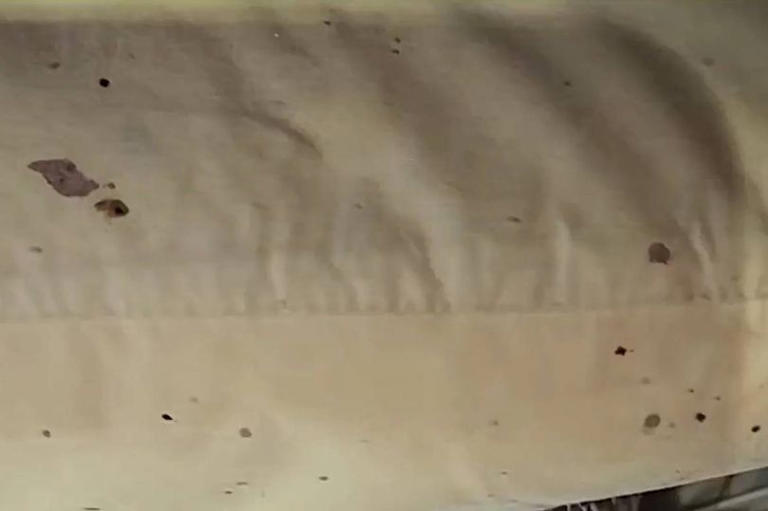 'Disturbing' find in hoarder's flat infested with 100,000 bed bugs that ...