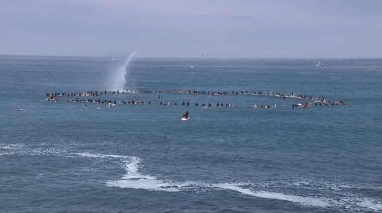San Diego honors surf icon Mike Hynson with posthumous paddle out on ...