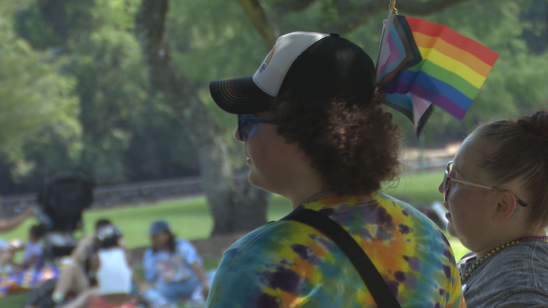 Hundreds attend Pride festival in Greenville