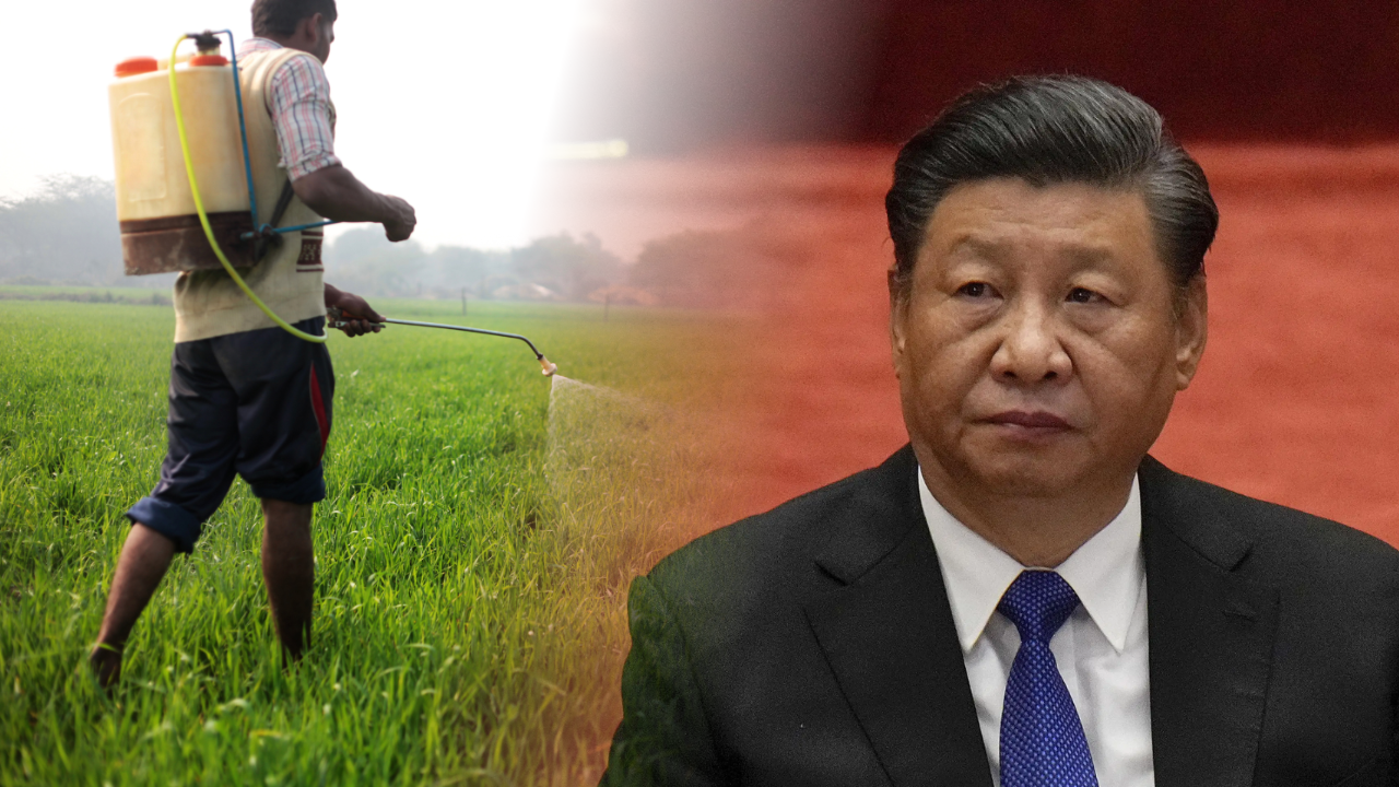 India Hits China with Tariffs on Key Imports, Counters Fertilizer ...